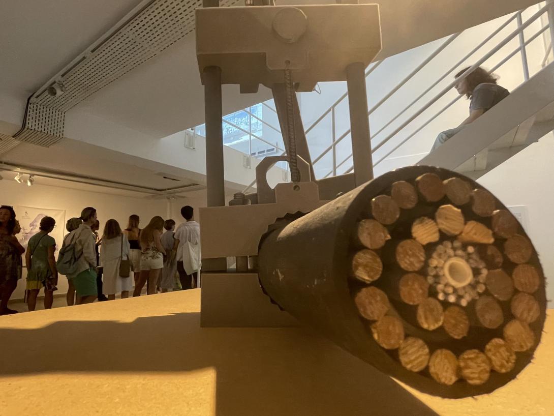 Sea blindness ~ A Sea Change